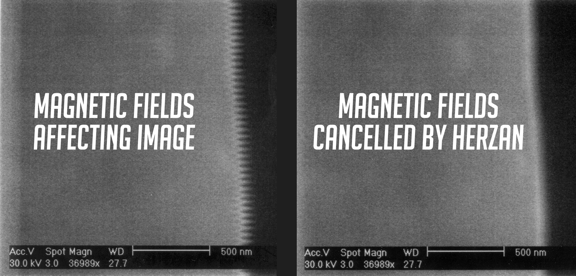 Unlock SEM/TEM Capabilities by Removing Magnetic Fields